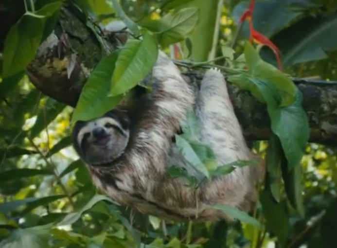 Homepage - Aussie Backpacker - Backpacking in Australia & Around The ...